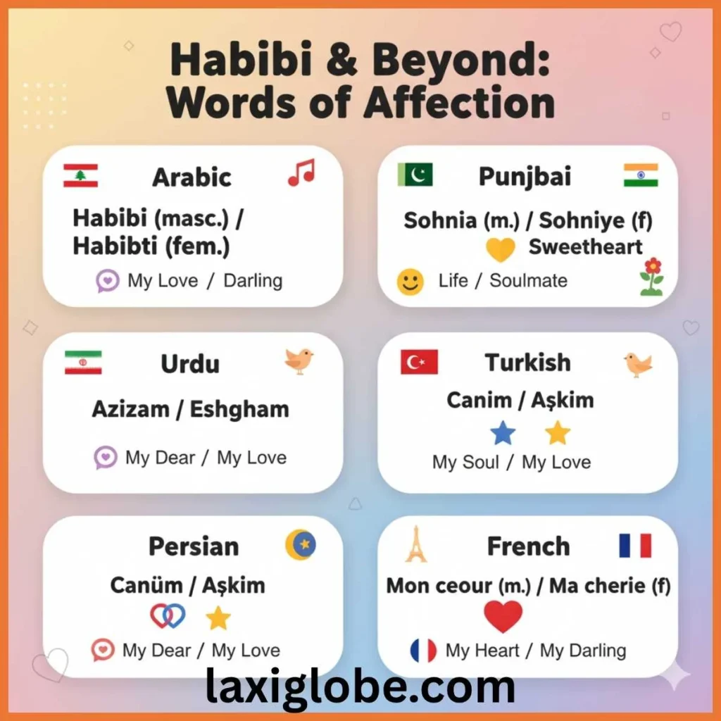 Habibi Meaning: Definition, Origin, Usage & Dialects (2025 Guide)